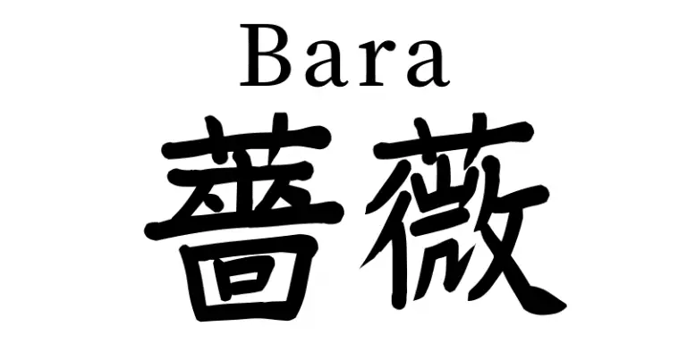 Kugisaki Nobara’s name meaning in Japanese