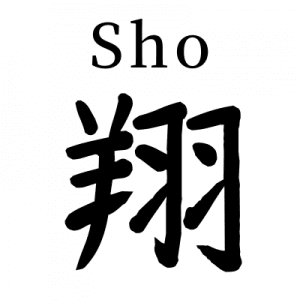 What does HINATA SHOYO mean? Name meaning in Japanese