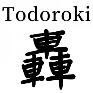 What’s the Meaning of TODOROKI SHOTO in Japanese? It Shows His Quirk!