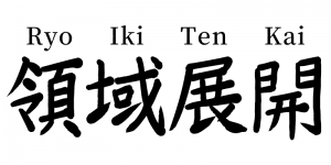 Domain Expansion Meaning: Unraveling Ryoiki Tenkai in Japanese