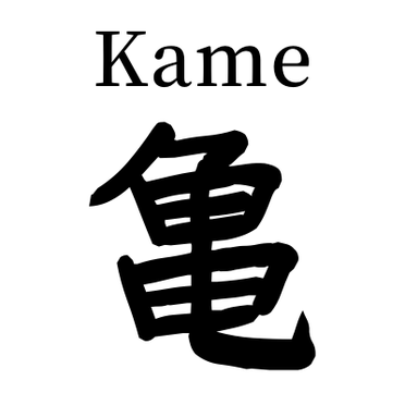 Master Roshi Symbol Meaning