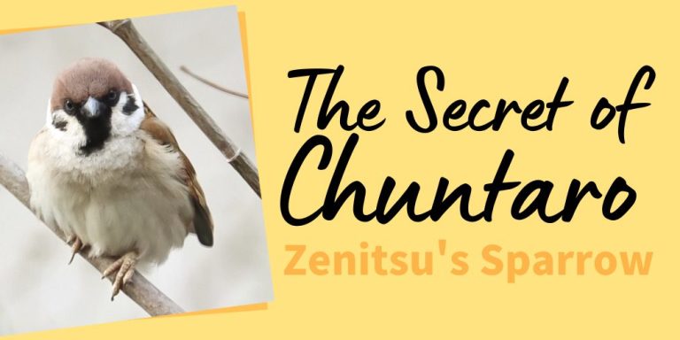 Zenitsu’s Bird Name: Chuntaro’s Meaning Explained