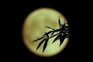 Shadow in Japanese: Decoding 2 Kanji Symbols and Meanings